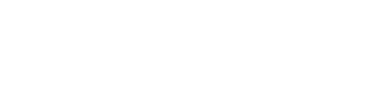 The Gamma Group - Location Intelligence & Spatial Insight